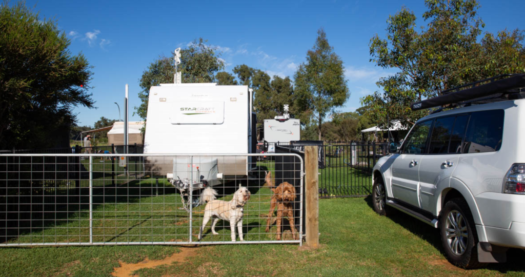Best Dog Friendly Caravan Parks Western Australia